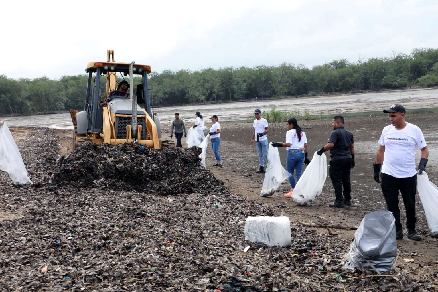 Sumarse a iniciativas para proteger humedal de la Bahía es el llamado de la Alcaldía de Panamá