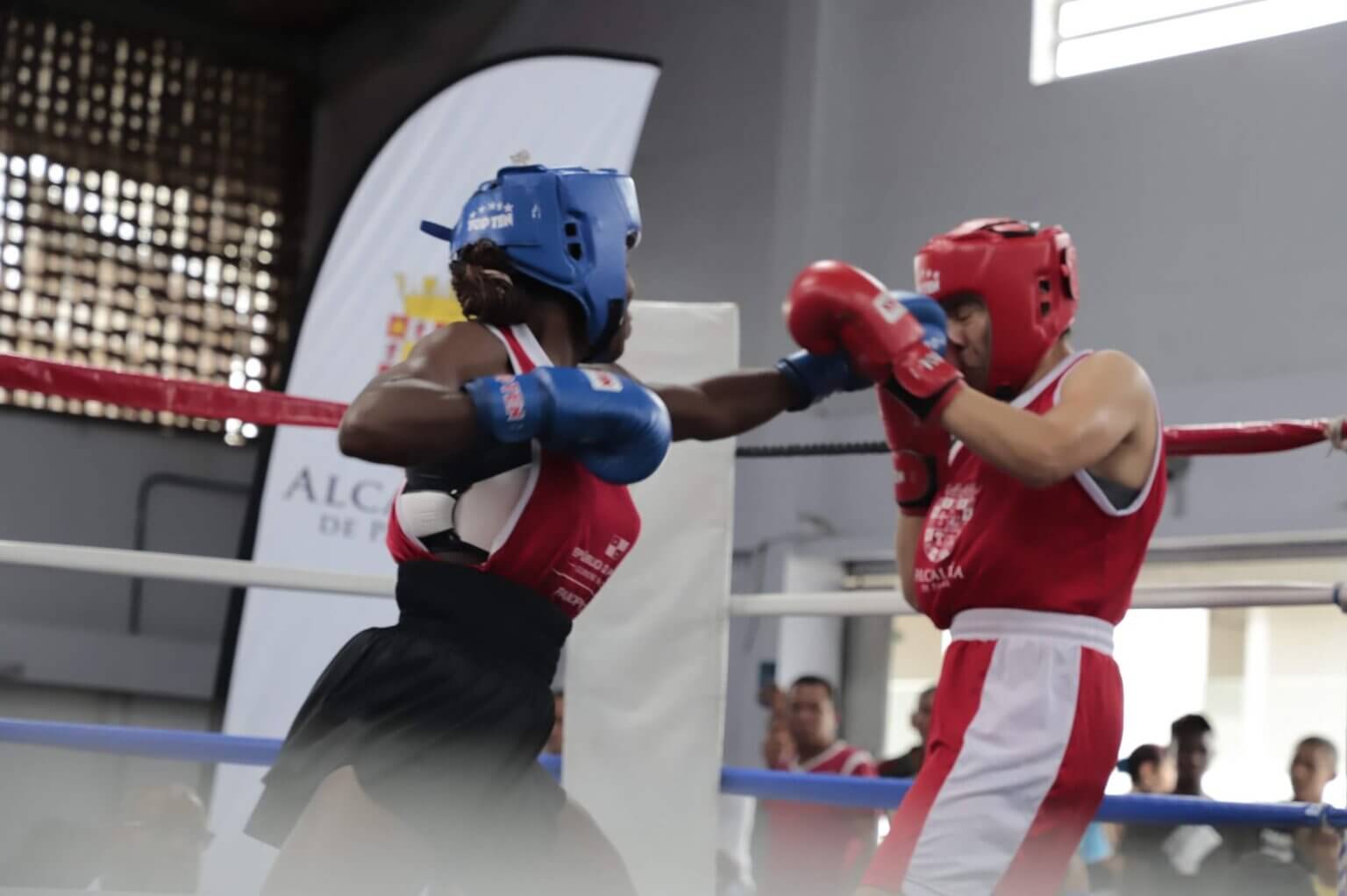 Alcaldía de Panamá organizó cartelera de boxeo en celebración de los 30 ...
